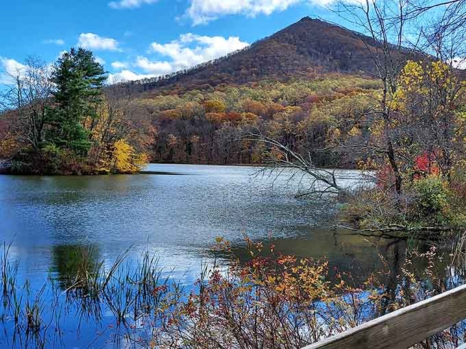 Sharp Top Mountain rises dramatically above autumn-kissed waters, creating a mirror image so perfect it looks digitally enhanced but isn't.