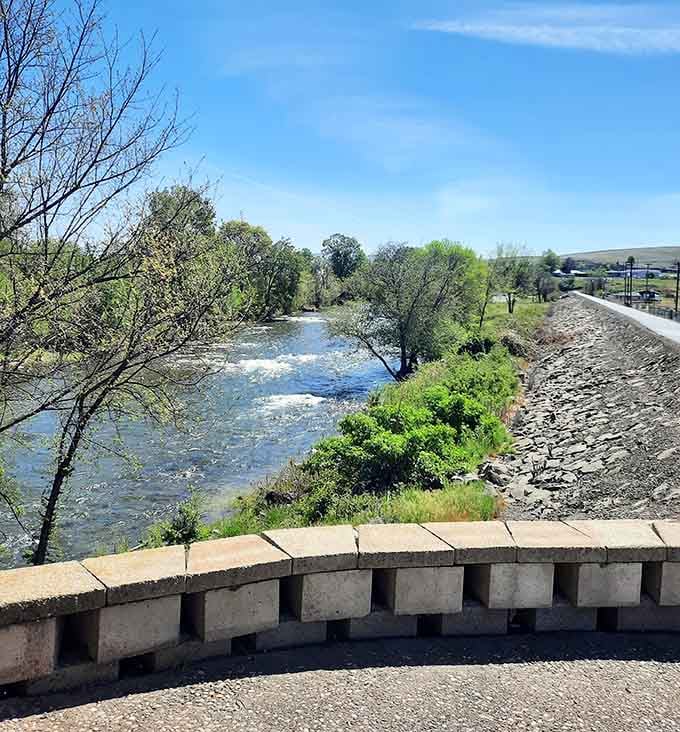 The Umatilla River flows peacefully here, offering tranquility without requiring a meditation app or yoga subscription.