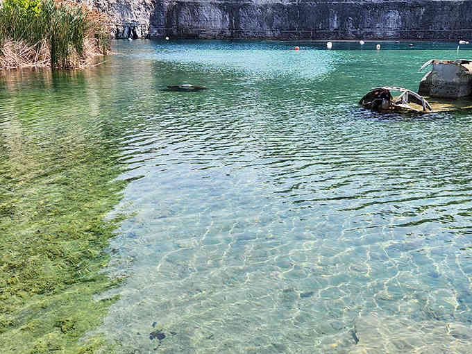 Water so clear you can see the bottom from the surface, proving Kentucky doesn't need an ocean to impress.