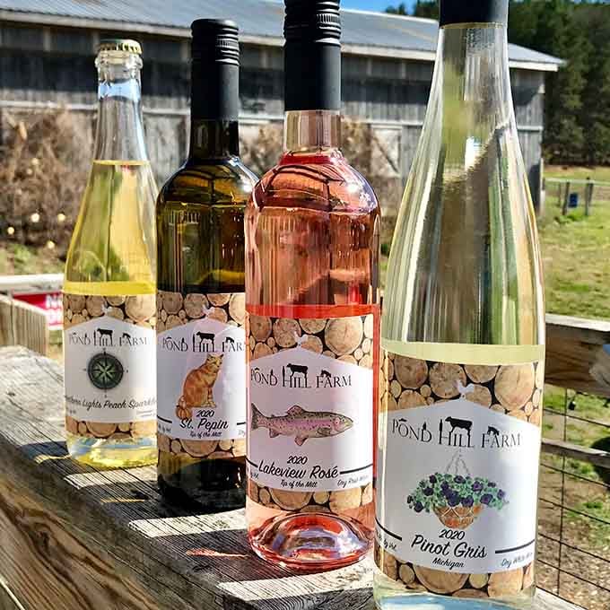 These bottles with their charming labels prove Michigan wine doesn't need to apologize to anyone, especially not California.
