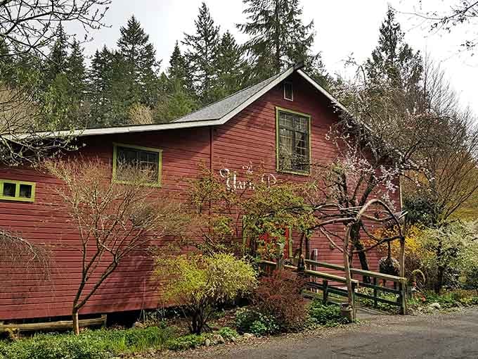 Tucked among evergreens, this red barn looks like it wandered out of a Hallmark movie and decided to stay.