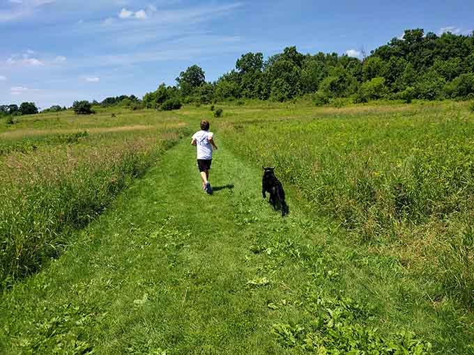 Summer adventures with your pup: the kind of quality time that doesn't require a screen or WiFi.