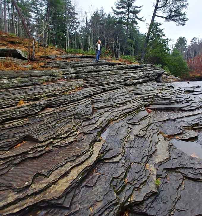 These layered rock formations have been here longer than your favorite diner, and they're just as reliable.