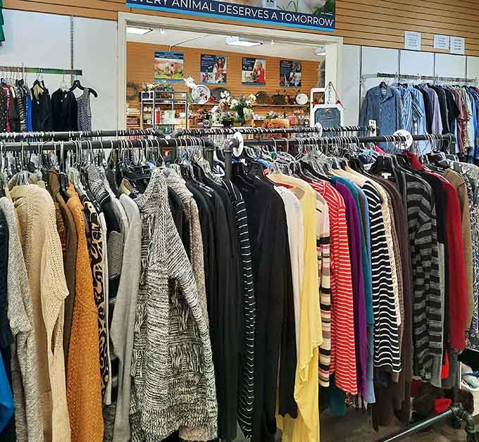 Rows of clothing stretch toward infinity, proving that one person's closet purge is another person's fashion jackpot.