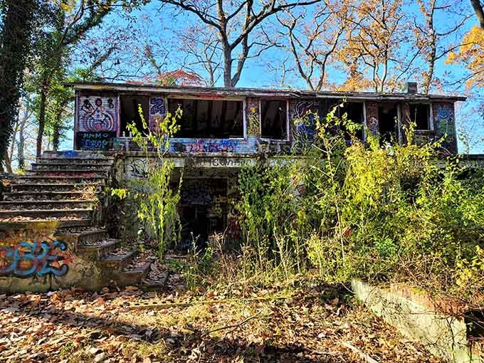 Abandoned buildings tell stories too, though this one's been claimed by spray paint and determined vegetation.