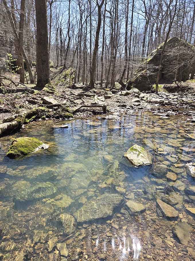Crystal-clear pools dot the trail like nature's own rest stops, infinitely more scenic than anything off I-57.