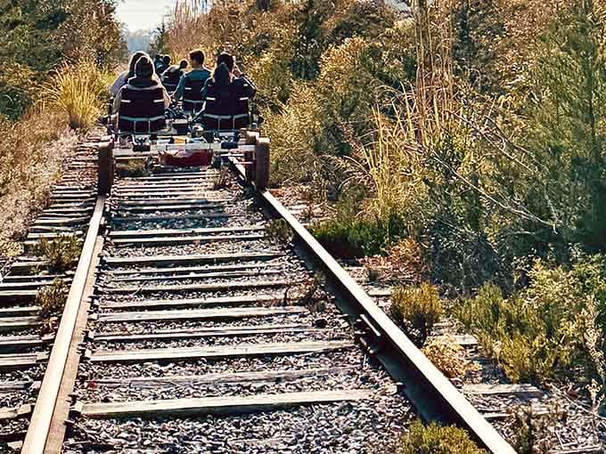 The tracks stretch ahead through autumn's palette, promising views that no highway billboard could ever match.