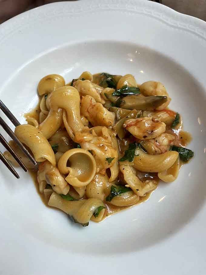 Cavatappi twirled with mushrooms proves that simple ingredients become magic when someone actually knows what they're doing.