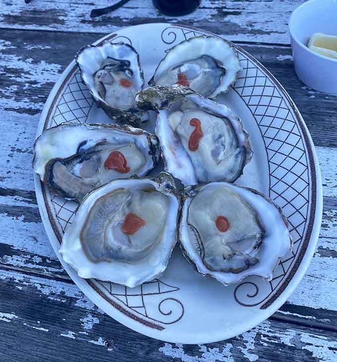 Fresh oysters on the half shell with cocktail sauce, simple perfection that needs no introduction whatsoever.