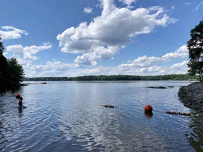 Lake waters so peaceful you'll forget what traffic jams even sound like, nature's own therapy session included.