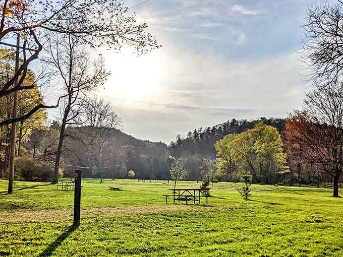 The park's grassy picnic areas offer peaceful respites between waterfall adventures, perfect for recovering from all those stone steps you just climbed.