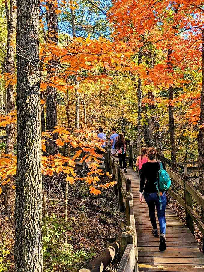 Follow the boardwalk into a scene that makes every desktop wallpaper look like amateur hour.