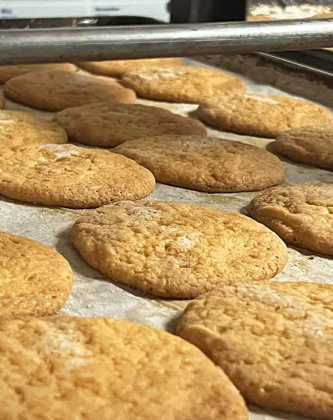 Fresh cookies cooling on baking sheets, still warm from the oven, represent everything right with the world at this moment.