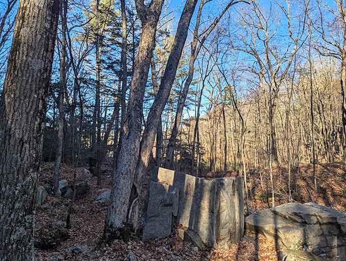 Sometimes the best moments are the quiet ones, just you and nature having a conversation.