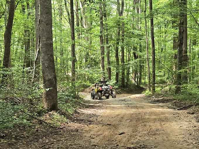 ATV trails wind through Alabama forests where adventure awaits, and the only traffic jam involves deciding which path to take.