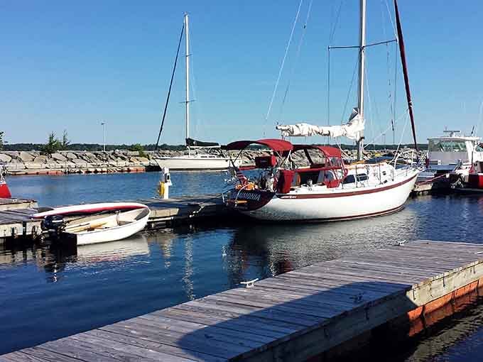 Sailboats rest peacefully in the marina, their masts reaching skyward like a forest of possibility.