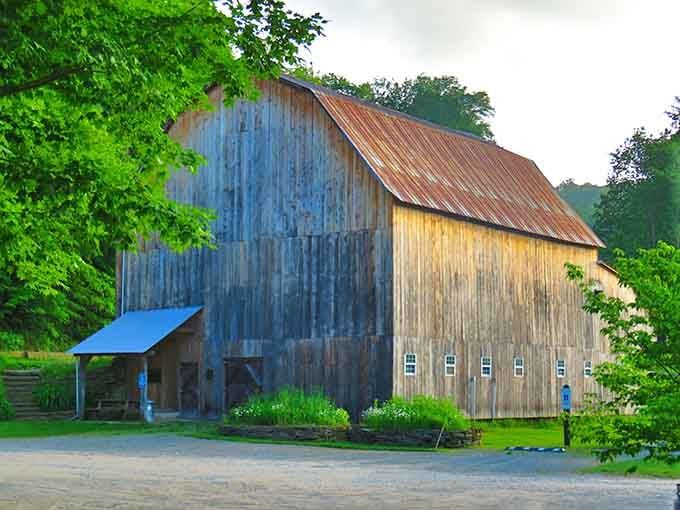 That weathered barn has seen more seasons than all the Hallmark movies combined, and it's still standing strong.