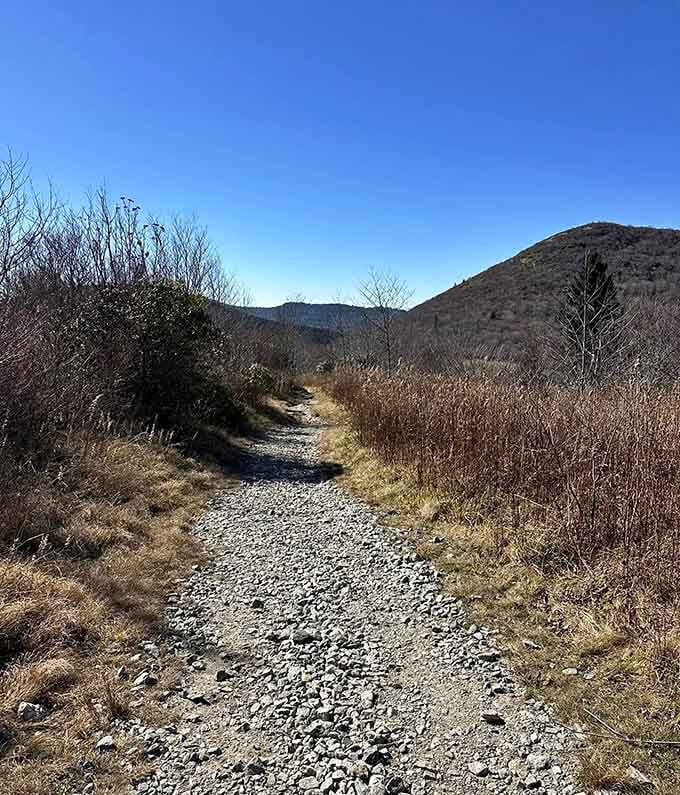 This gravel section gives your boots a break while mountains frame the horizon in every direction you look.