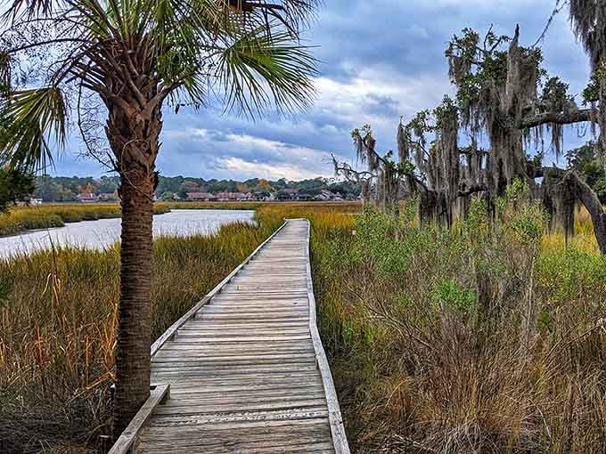 Wooden boardwalks wind through marshland where palmetto trees and live oaks create their own Southern ecosystem.