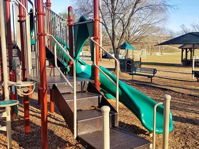 Bright slides and open fields invite grandkids to burn energy while you enjoy peaceful park bench contemplation.