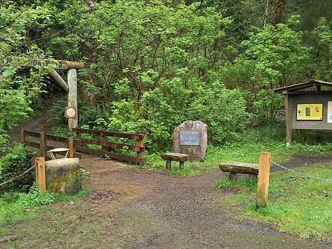 Even the hiking trails here whisper stories of the past, inviting you to explore nature between your antique shop adventures.