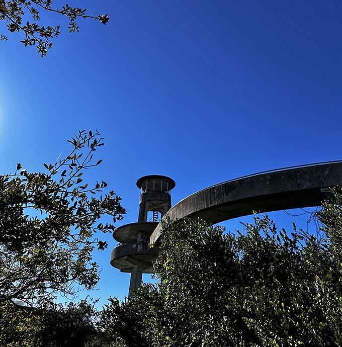 When the sky puts on a show this good, you don't need a theme park admission ticket.