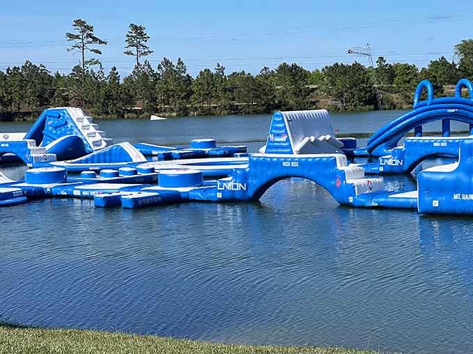 Those blue structures aren't just pretty, they're scientifically designed to test your balance and your humility.