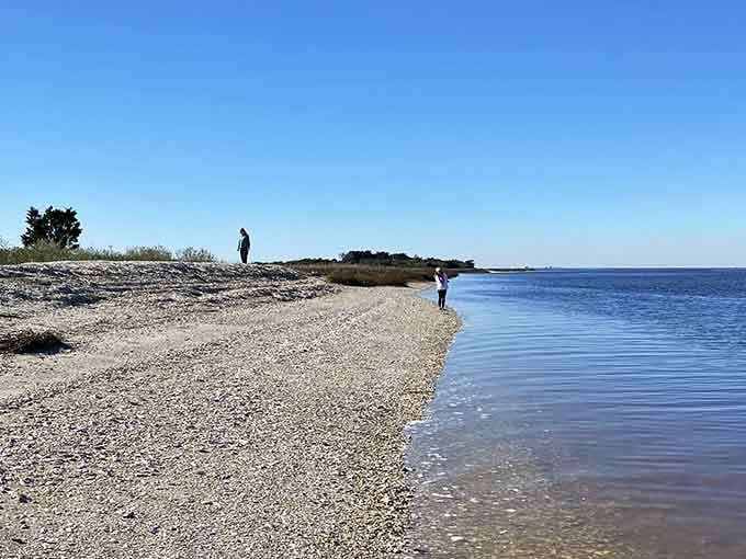The hunt begins where land meets water, and patience becomes your most valuable tool.