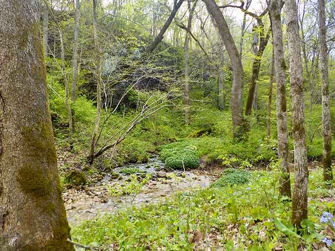 The valley stretches out like a rumpled blanket, all hills and hollows waiting to be explored.