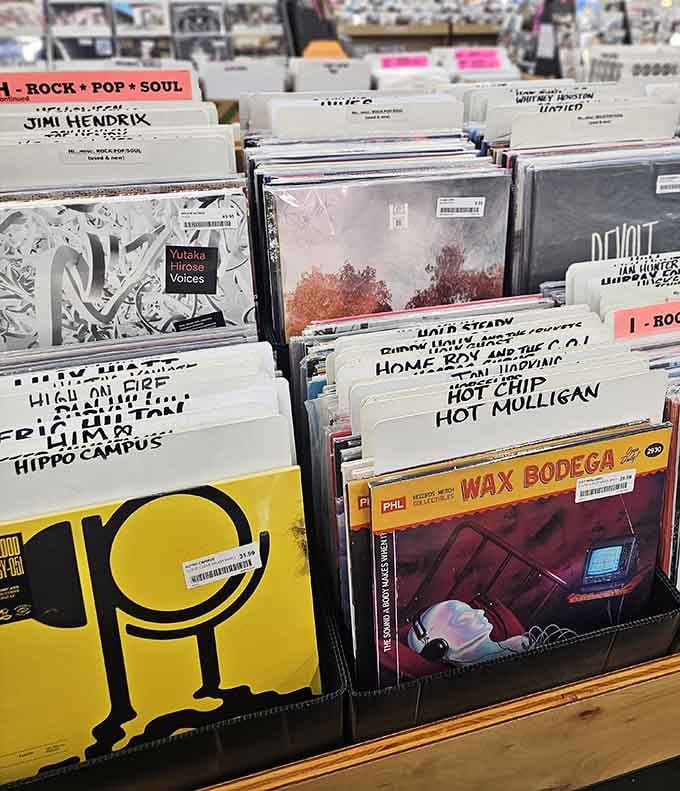 Handwritten labels guide you through decades of music history, organized with care and genuine knowledge.