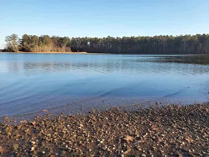 Pebbles meet water in perfect harmony, creating a shoreline that's both rugged and inviting simultaneously.