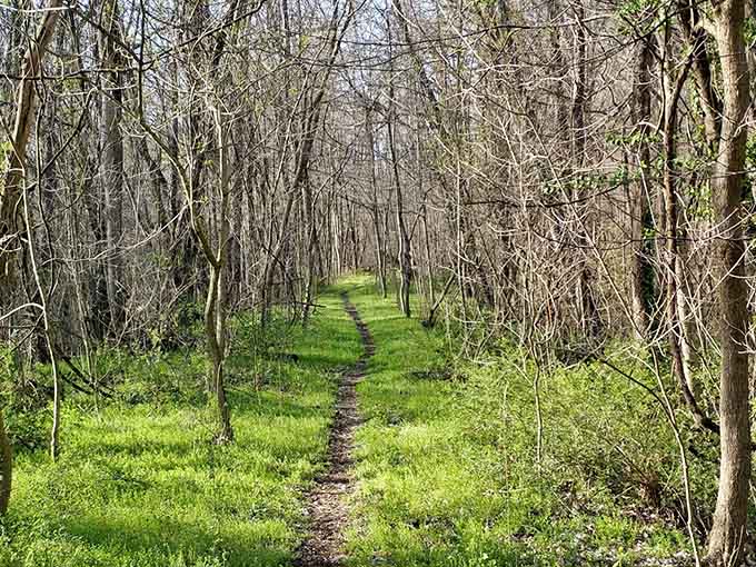 Nature trails near Somerset offer the kind of peace that makes you forget your phone exists for a while.