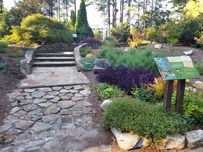 Smart gardening meets beautiful design, proving sustainability doesn't have to look boring at all.