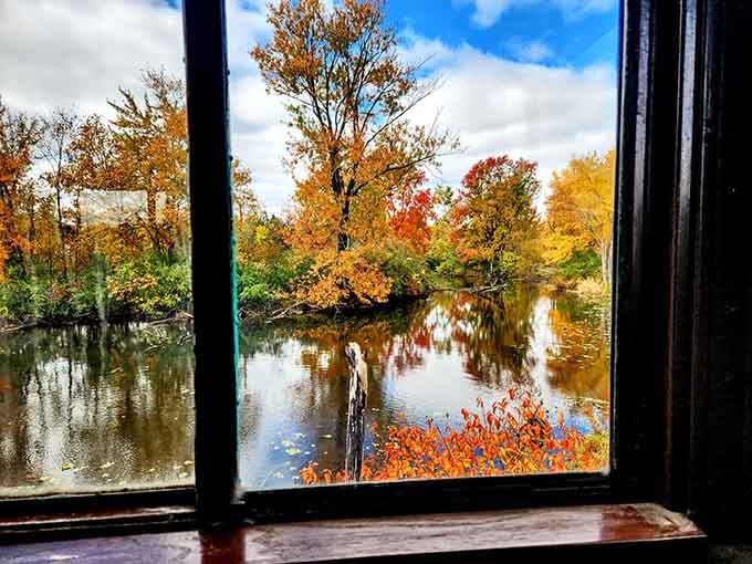 The view through these vintage windows turns ordinary Michigan wetlands into a moving masterpiece worth framing.