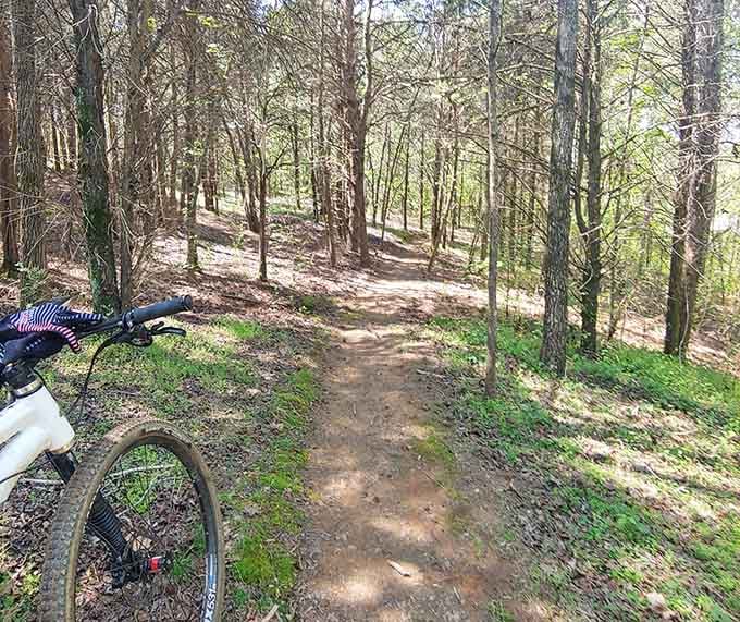 Nothing says adventure like a winding trail through the woods where your biggest decision is which path to take next.