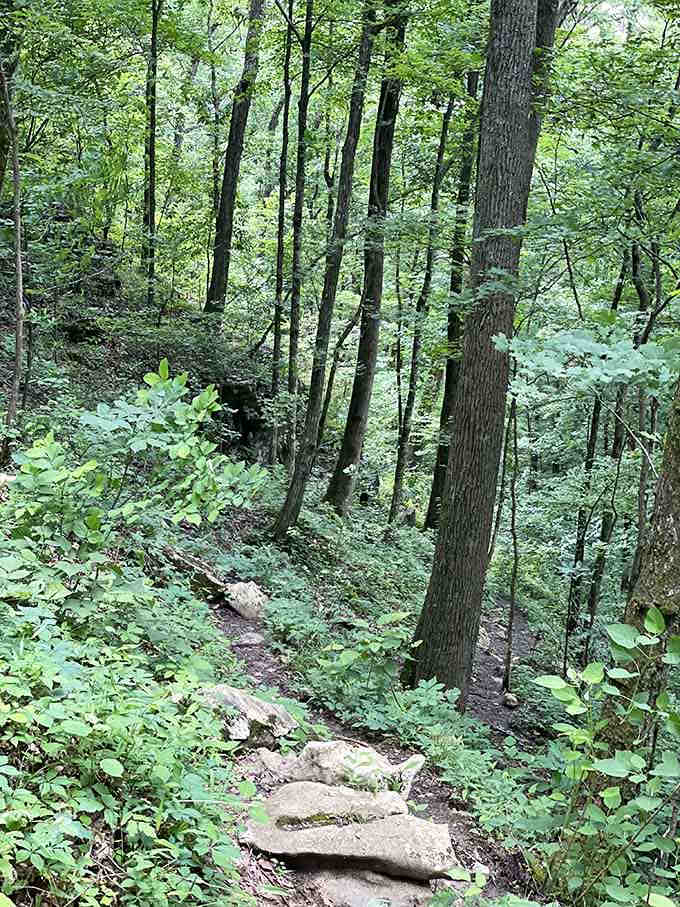 These woods are lovely, dark and deep, and you've got promises to keep with a giant hole.