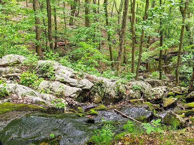 Moss-covered rocks and babbling brooks create a scene so peaceful, even your phone might consider taking a break from notifications.