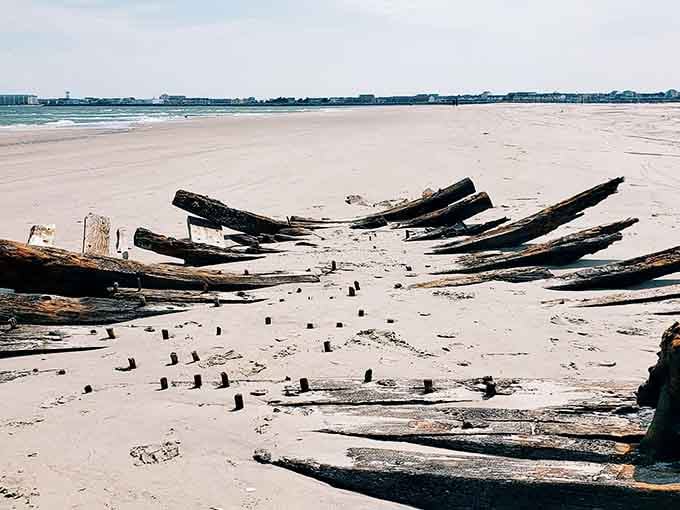 Even shipwreck remains have stories to tell when the ocean decides to share its secrets.
