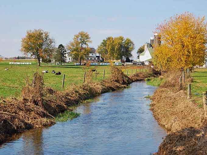 A lazy stream winding through farmland, proving that not everything needs to rush these days.