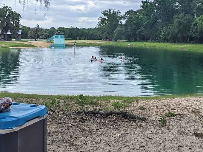 Swimming holes don't need fancy resorts when you've got clear water and Georgia sunshine doing the work.