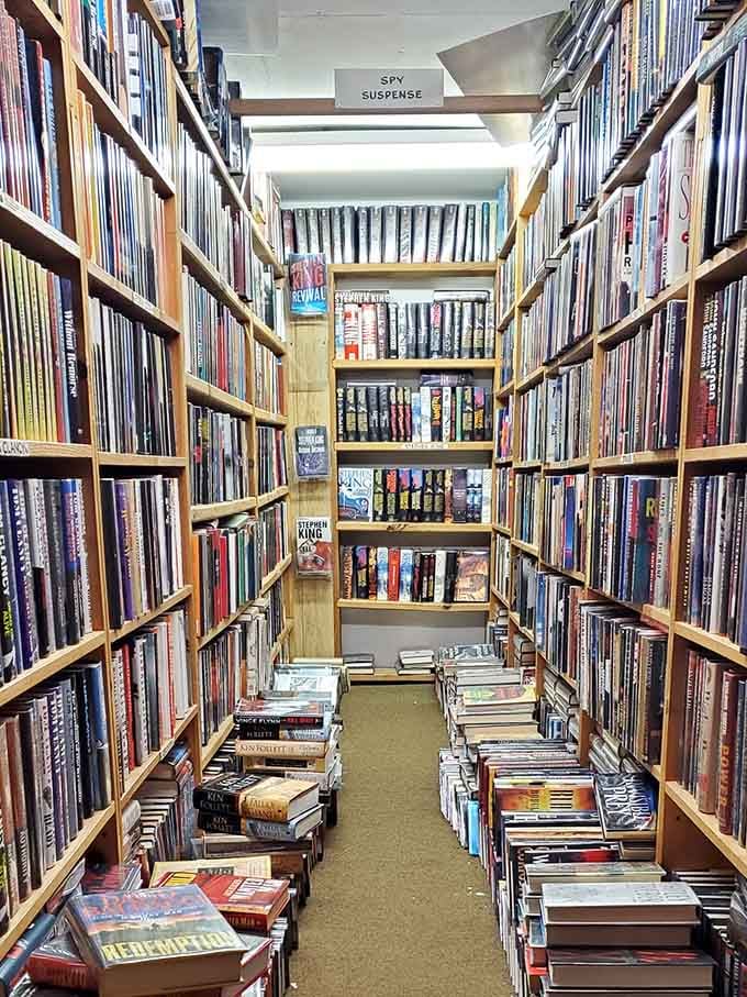 The spy suspense section where Jason Bourne would feel right at home, assuming he could remember why he came here.