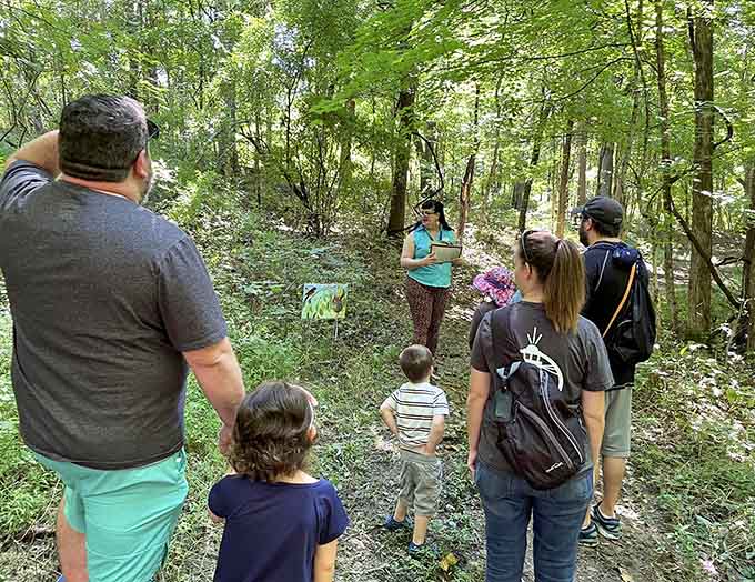 Guided nature walks where you'll learn things about trees you never knew you wanted to know but absolutely do.