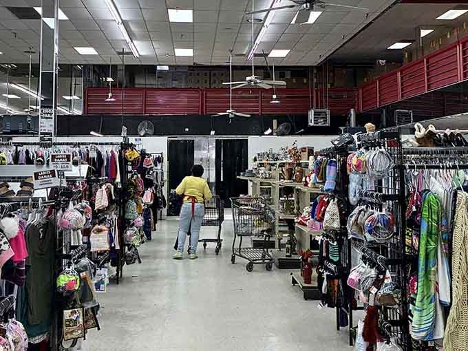 Aisles stretch endlessly like a retail choose-your-own-adventure where every turn reveals something completely unexpected and wonderful.