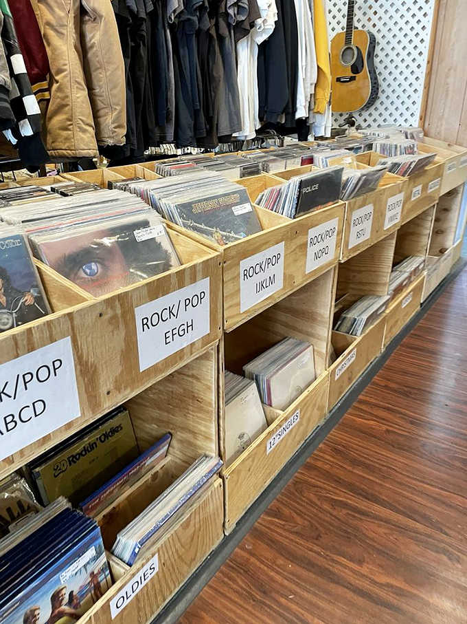 Vinyl records organized alphabetically because even nostalgia needs a filing system—your old favorites are waiting here.