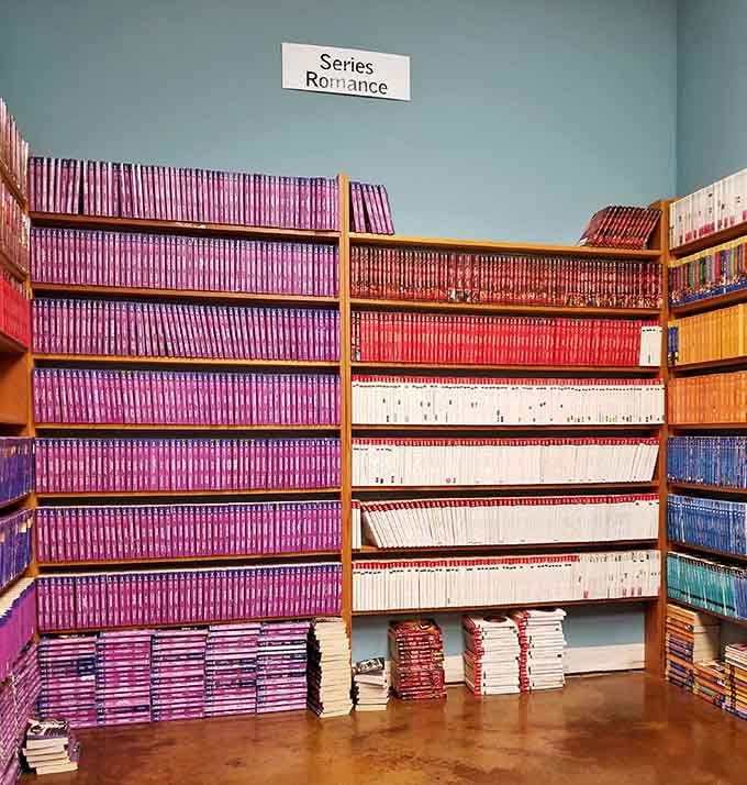 Purple spines line up like soldiers ready for romantic deployment, each promising happily-ever-afters by the dozen.