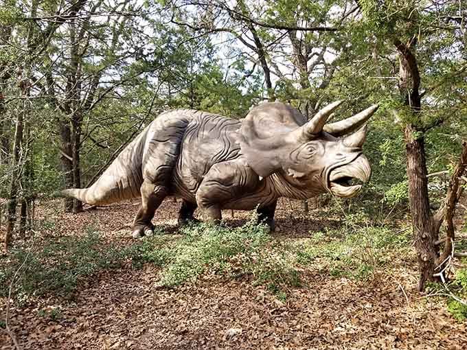 Those three horns and that frill made Triceratops the original "don't mess with me" attitude of the Cretaceous.