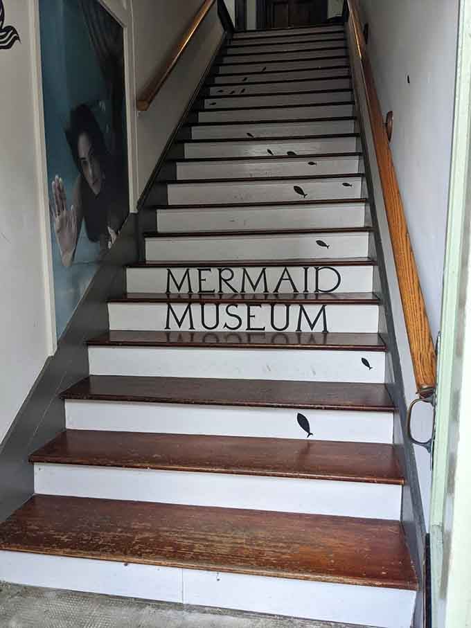 These stairs lead you from ordinary Berlin street level straight into an underwater world of maritime mythology and magic.