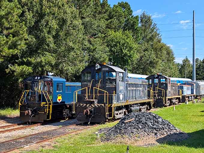 A lineup of locomotives that looks like a family reunion for retired workhorses who've earned their rest.