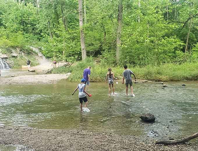Kids splashing in the shallows proves that sometimes the simplest pleasures beat any theme park hands down.