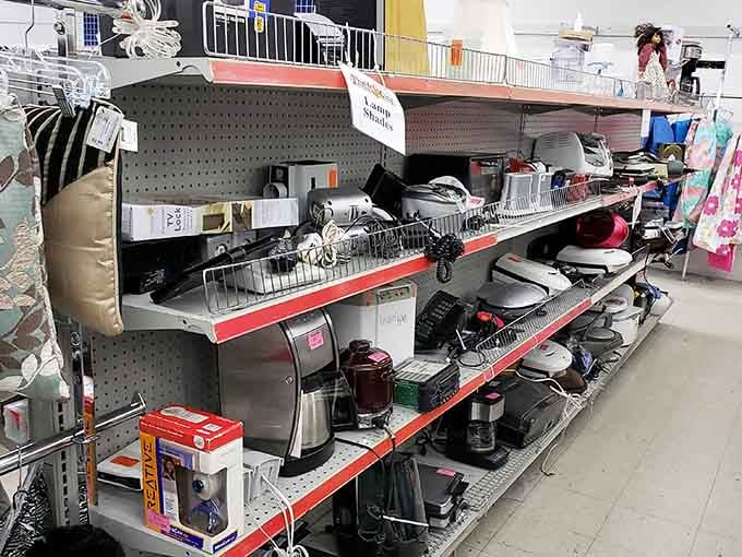 Kitchen gadgets and small appliances waiting patiently for someone who actually reads instruction manuals this time.